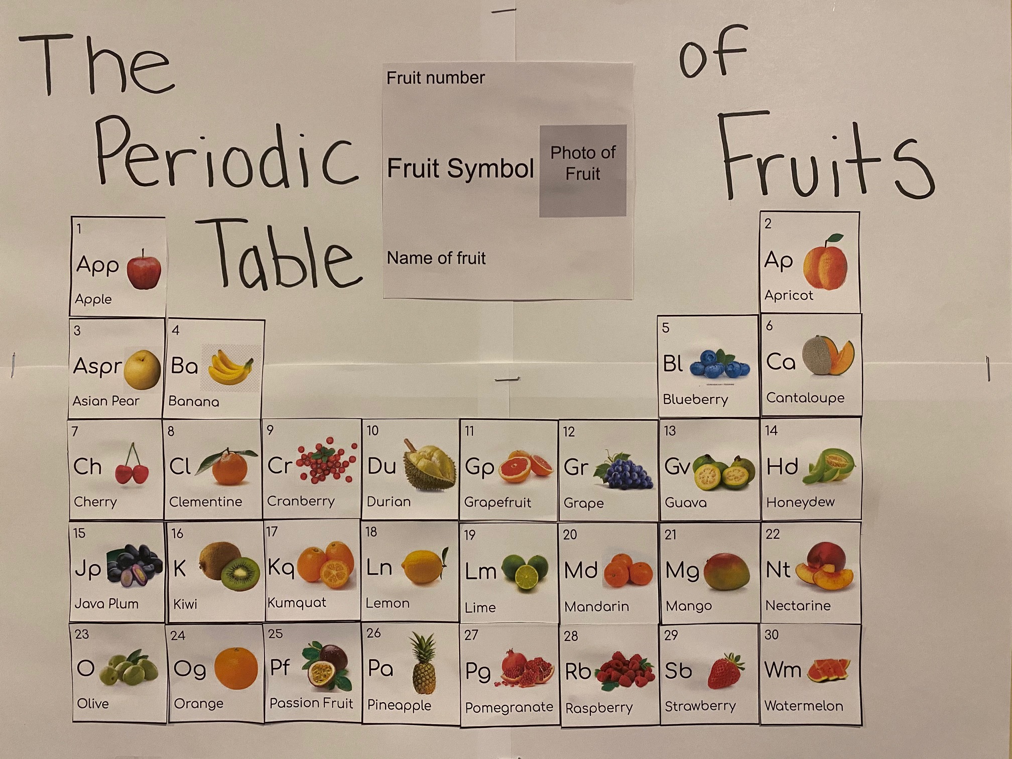 Science Fundamentals – Sequoia Scholars